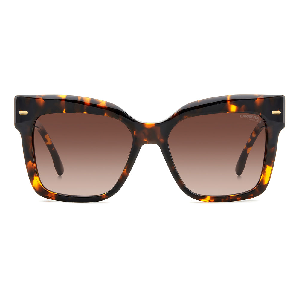 New Arrivals – Carrera US